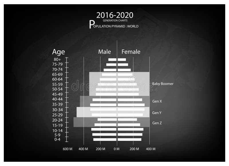 2016-2020 Population Pyramids Graphs with 4 Generation Stock Vector ...