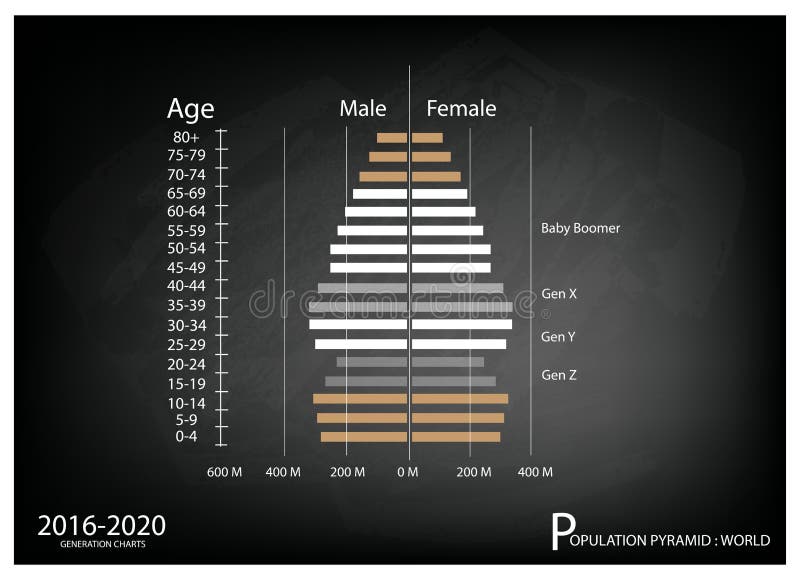 2016-2020 Population Pyramids Graphs with 4 Generation Stock Vector ...