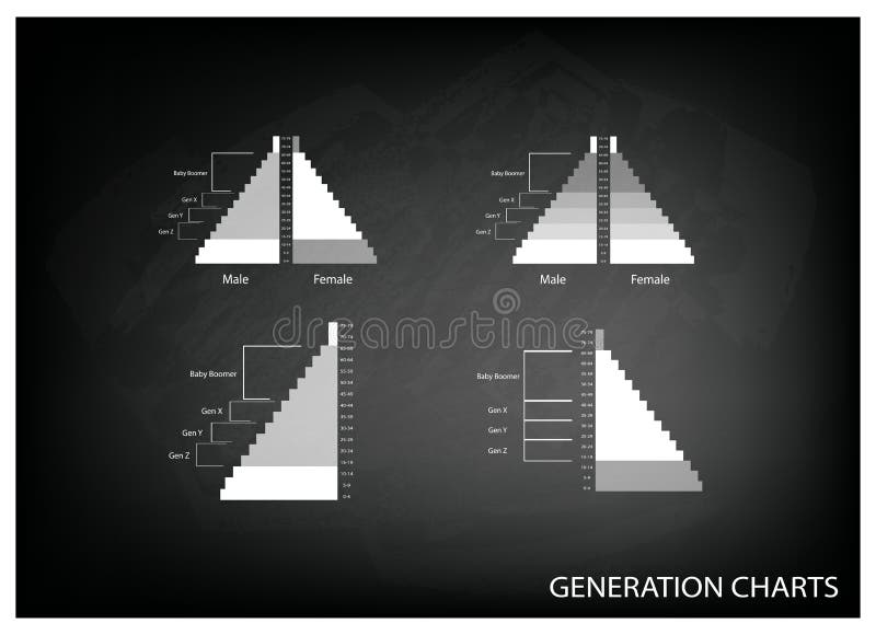 The Population Pyramids Graphs with 4 Generation Stock Vector ...