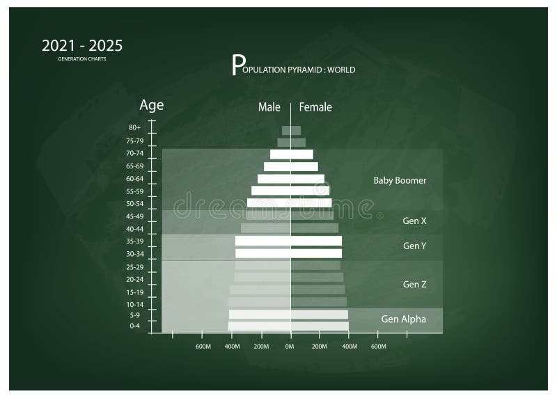 2021-2025 Population Pyramids Graphs with 5 Generation Stock Vector ...