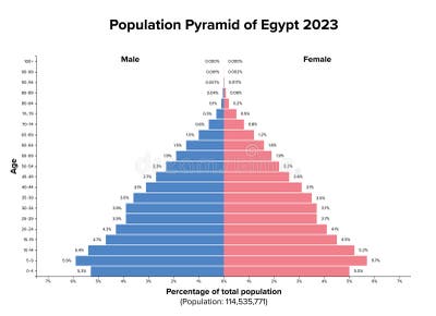 Population Pyramid of Egypt 2023, Age Structure Diagram Stock Vector ...