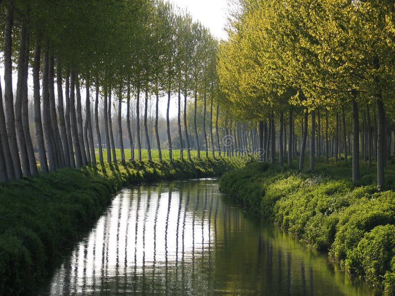 Populieren En Donkere Rivier Stock Afbeelding - Image of schaduw, water ...