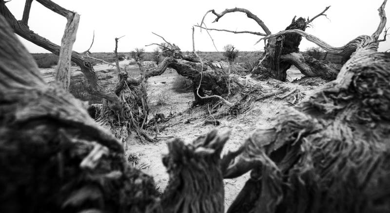 Extremely Drunk Bl Stock Photos - Free & Royalty-Free Stock Photos from ...