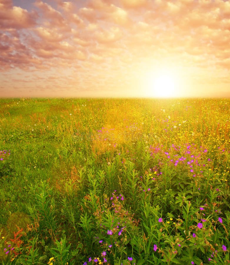 Por do sol bonito imagem de stock. Imagem de exterior - 28940639