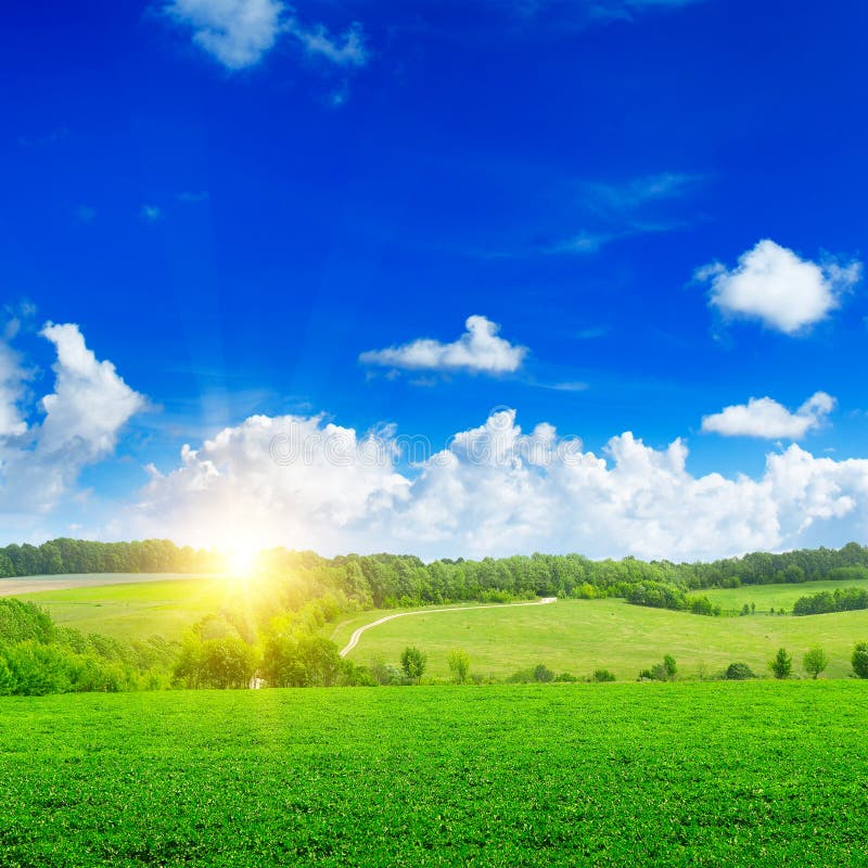 Por do sol bonito no campo foto de stock. Imagem de ambiente - 93126854