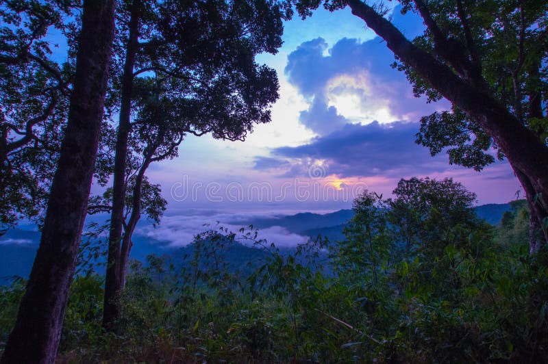 Por do sol cor-de-rosa foto de stock. Imagem de névoa - 125796714