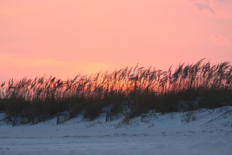 Pôr do Sol Rosa imagem de stock. Imagem de pensacola - 26134089