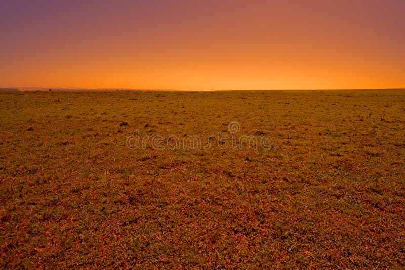 Por do sol do savana imagem de stock. Imagem de cenas - 61207785
