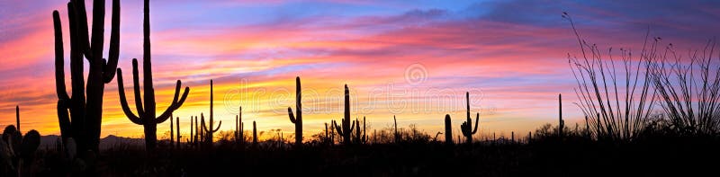 Por do sol no deserto. imagem de stock. Imagem de sunset - 19171761