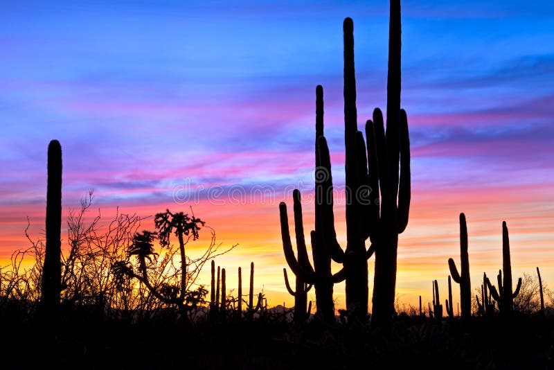 Por do sol no deserto. imagem de stock. Imagem de paisagem - 19171797