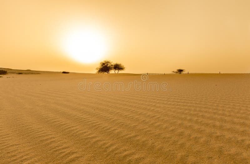 Por do sol no deserto imagem de stock. Imagem de quatar - 68191235