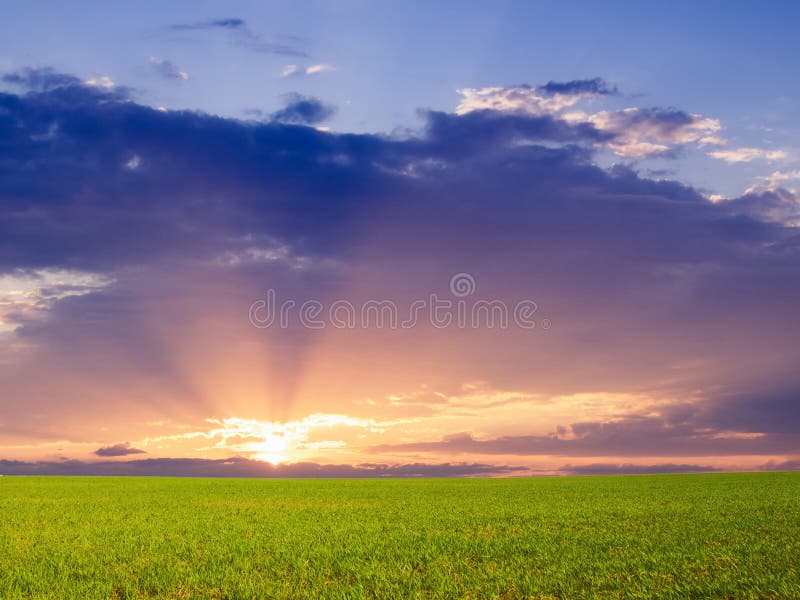 Por Do Sol Sobre O Campo Verde Foto de Stock - Imagem de sunlight ...