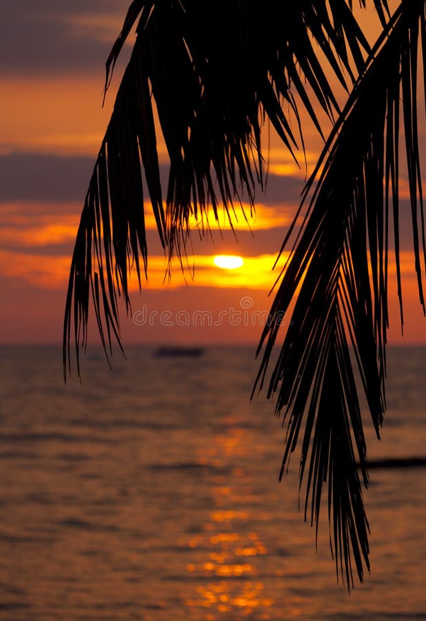 Pôr do sol tropical imagem de stock. Imagem de costa - 23281149