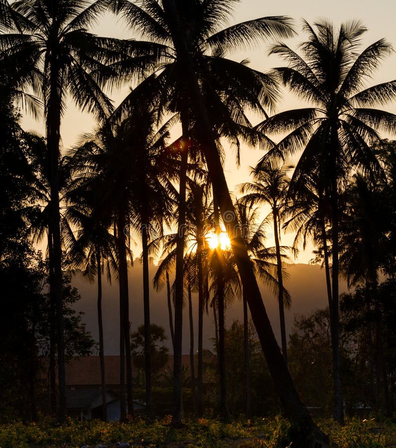 Por do sol tropical foto de stock. Imagem de casa, console - 64071570