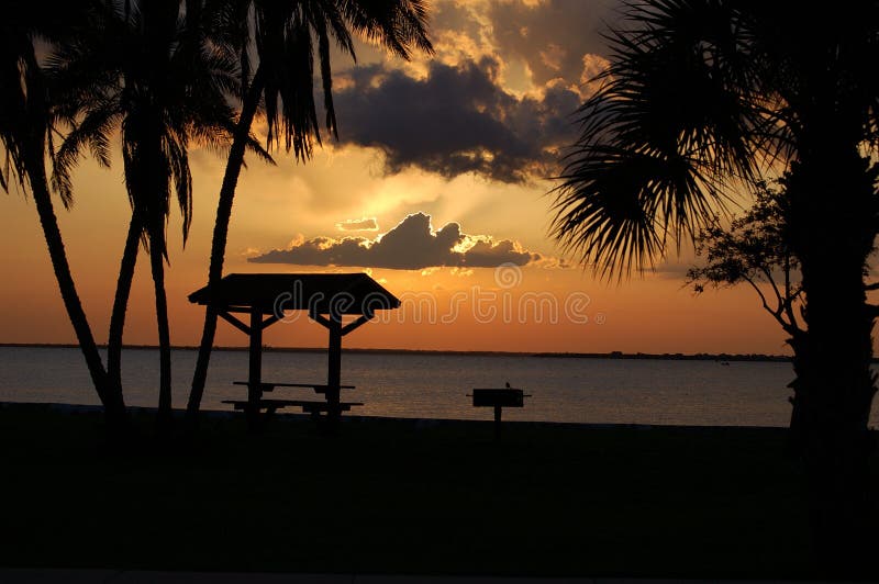 Por do sol tropical imagem de stock. Imagem de florida - 893269