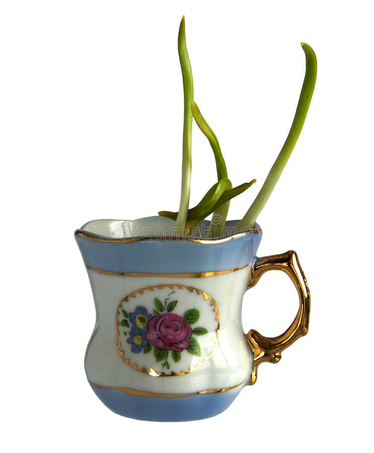 Porcelain Coffee Cup with Coffee Beans Sprouts Stock Image - Image of ...