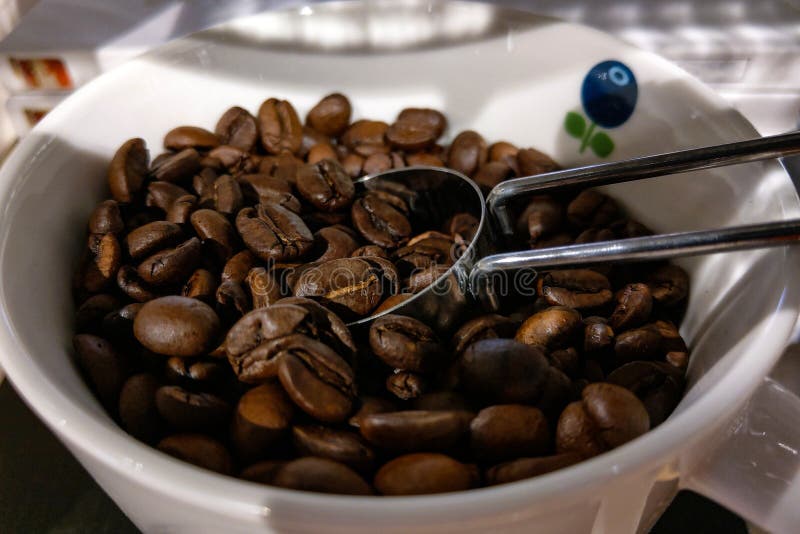 Porcelain Mug with Beautiful Fresh Coffee Grains Stock Image - Image of ...