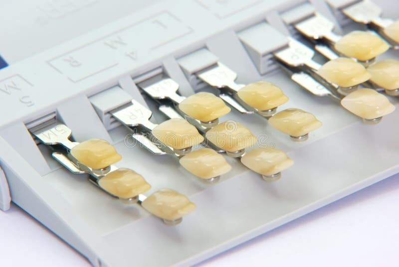 Color Guide with Porcelain Teeth Behind Stock Image - Image of health ...