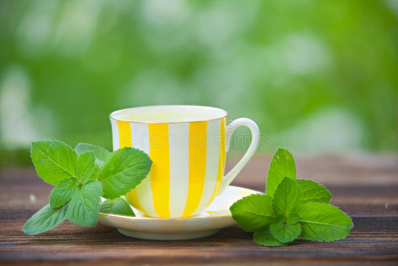 Porcelainl Cup with Green Tea on Table Stock Image - Image of essence ...
