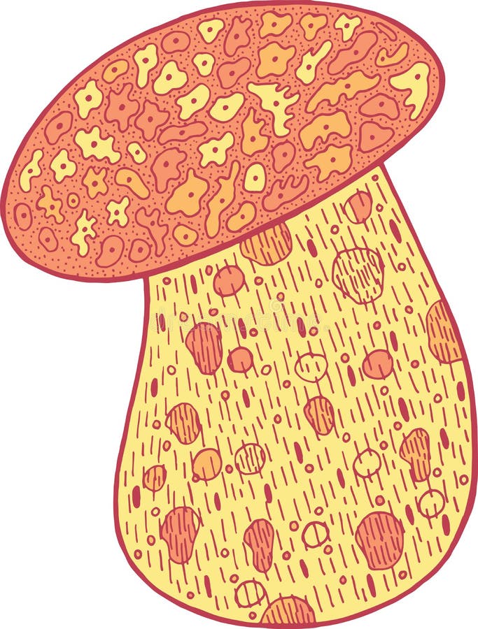 Porcini - Edible Mushroom. Doodle Cartoon Coloring Page Stock Vector ... Porcini - Edible Mushroom. Doodle Cartoon Coloring Page Stock Vector ...
