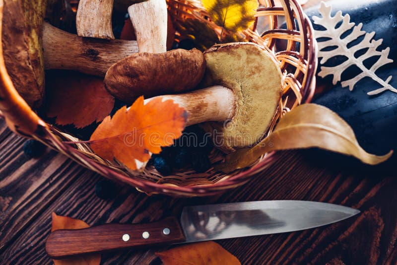 Porcini Mushrooms In Basket With Berries And Nuts On Wooden Table