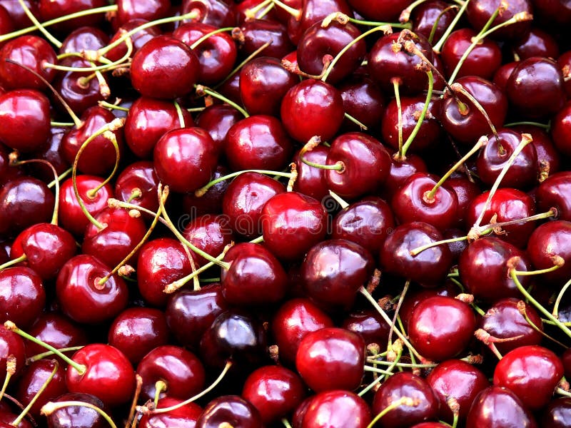 Cherrys imagen de archivo. Imagen de agricultura, cubo - 11616763