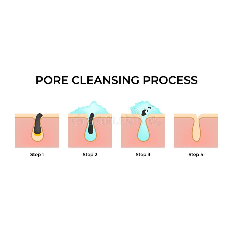 Pore Cleansing Process: a Step-by-Step Guide Stock Vector ...