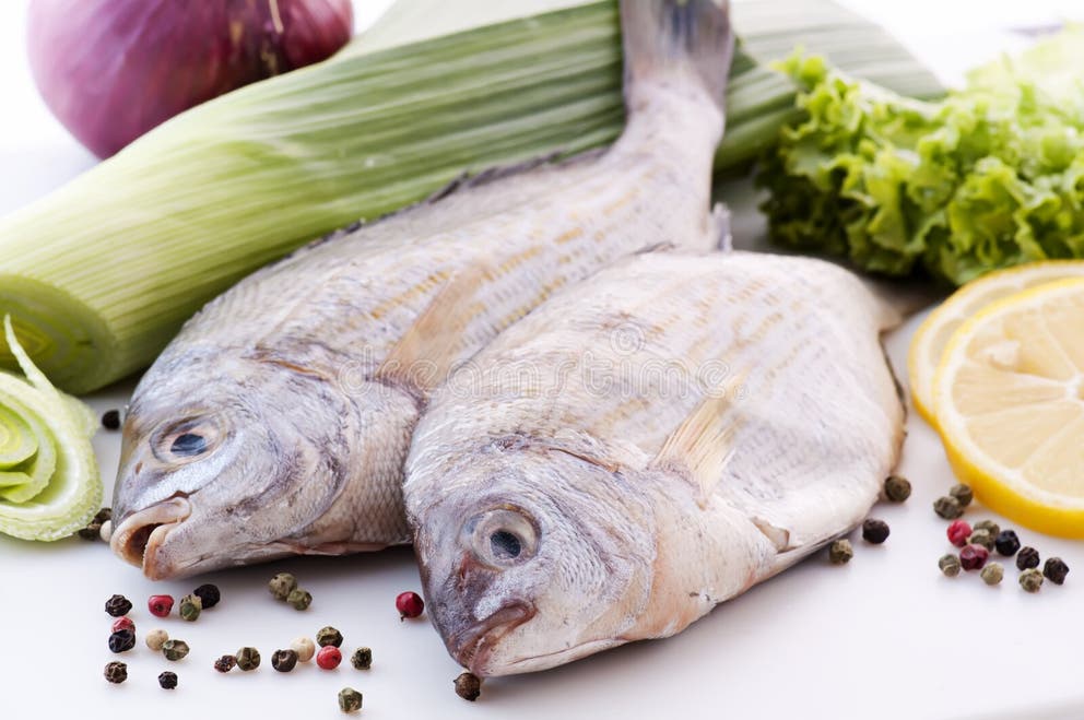 Porgies stock photo. Image of green, aromatic, pagrus - 17531402