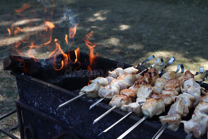 Pork Barbecue on the Grill with a Flame of Fire, Close-up, Side View ...