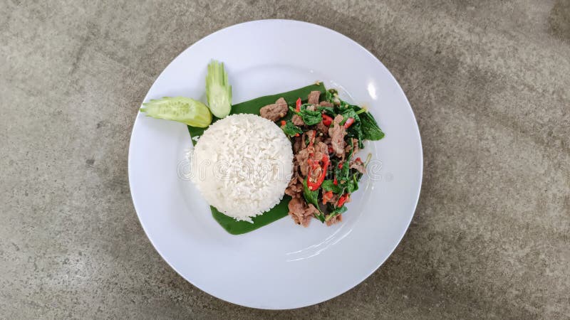 Pork with Basil Rice, Laying on the Cement Floor, Top View Stock Image ...
