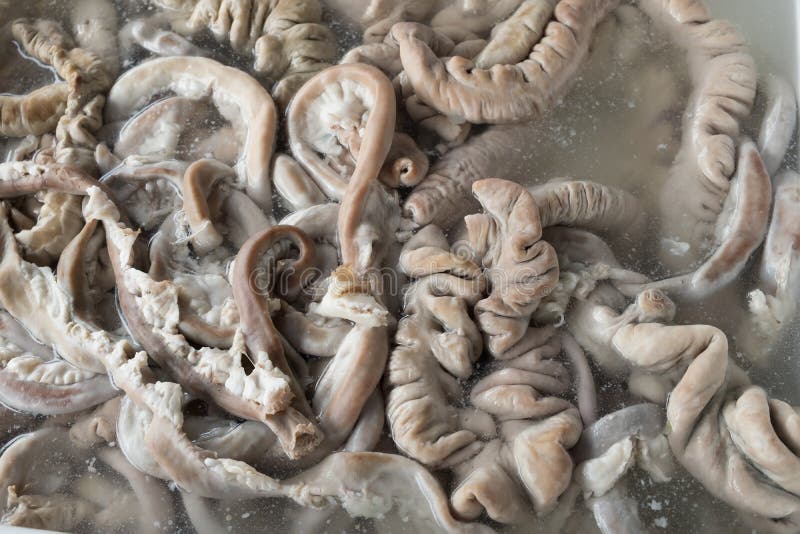 Pork entrails stock image. Image of ingredient, cook - 102970839