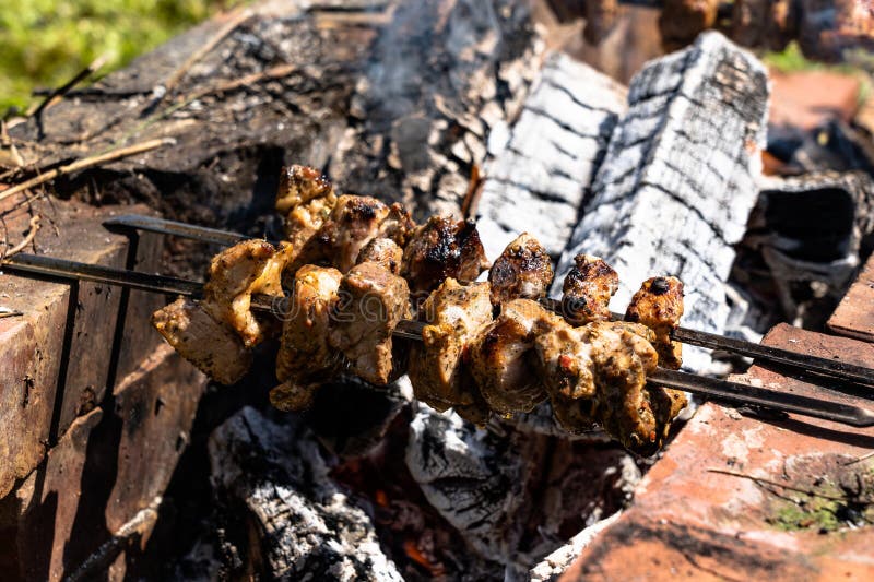Pork Fried in the Fire..Pork Shad on Skewer Stock Image - Image of shad ...