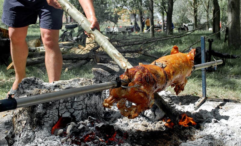 Photography of barbecuing stock photo. Image of eating - 115724556