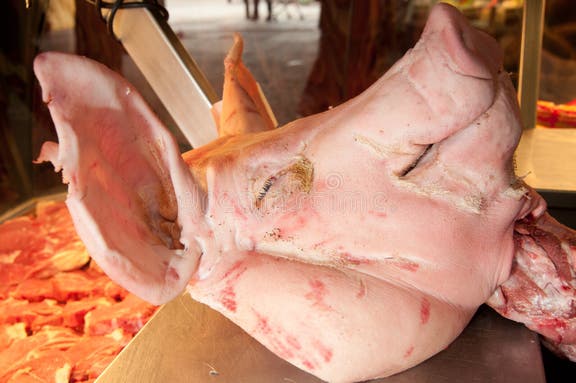Pork head stock image. Image of head, mussle, meat, nose - 21070187