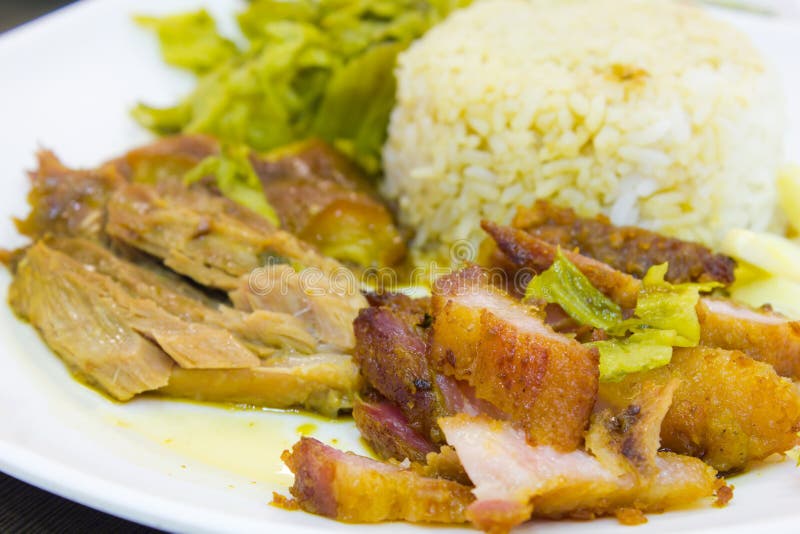 Pork leg with rice stock photo. Image of meat, meal, kong - 35142228