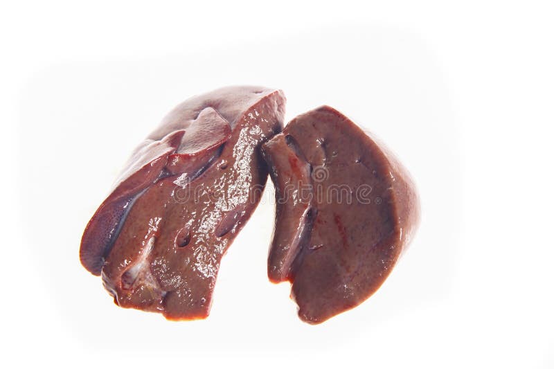 Pork Liver on a White Background Stock Illustration - Illustration of ...
