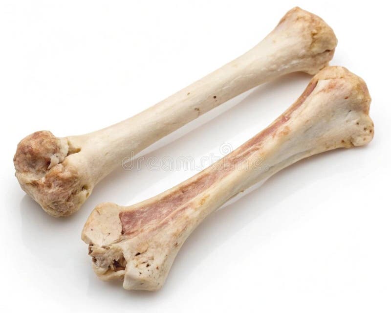 Raw Caw Bones. Two Pieces of Raw Cut Bones of a Caw Isolated on White ...