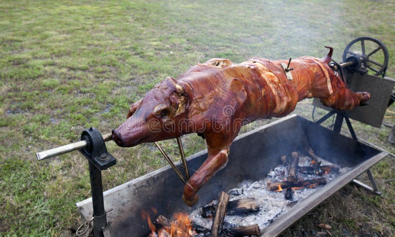 Pork meat - pig grilled stock photo. Image of dining - 32878012