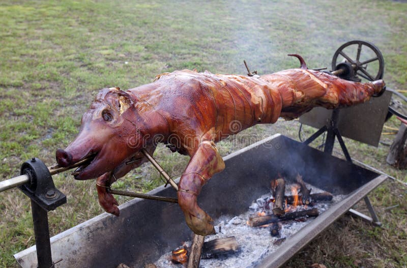 Pork meat - pig grilled stock image. Image of bone, dinner - 32878047