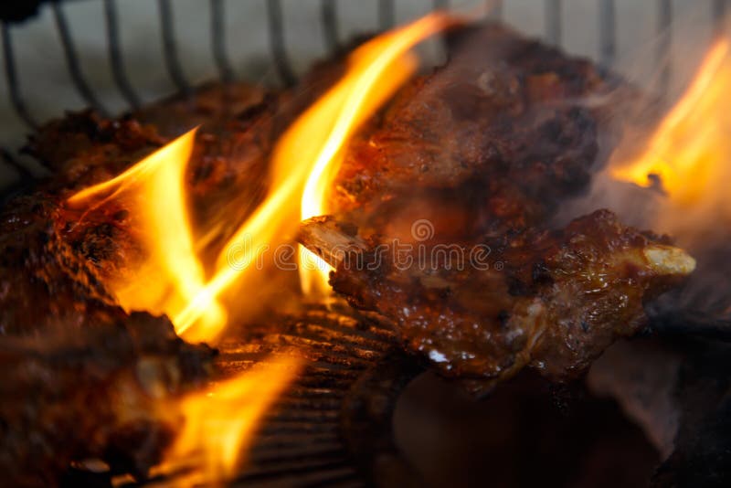 Pork meat roasting on fire stock image. Image of chop - 48711825