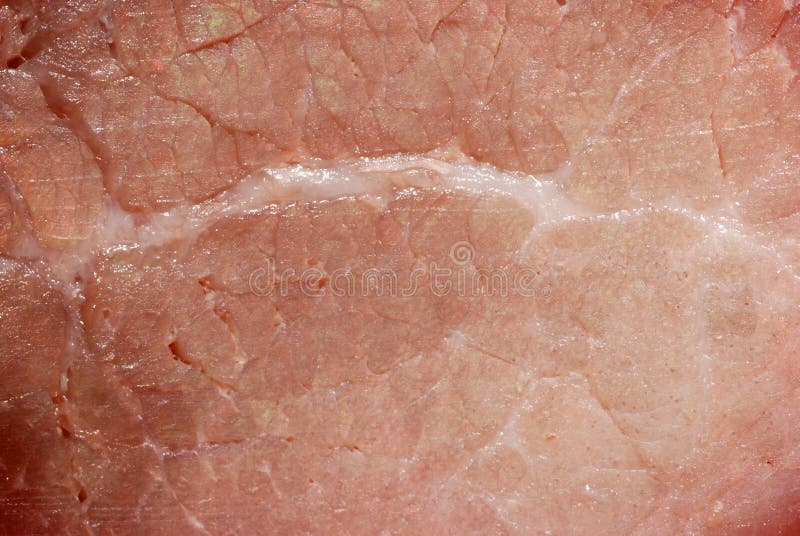 Pork meat texture stock image. Image of closeup, dinner - 16917179