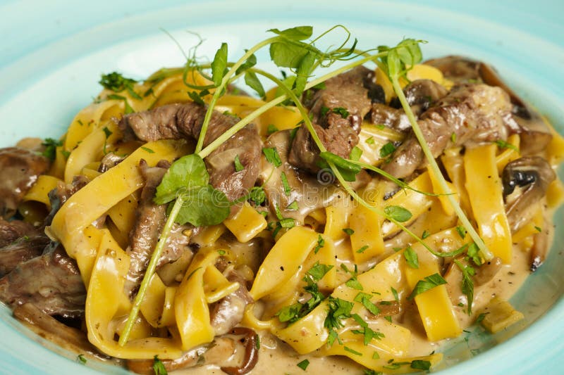 Pork with Pasta and Mushroom Sauce Stock Image - Image of mushroom ...