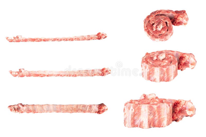 Pork Ribs Bone Isolated on White Background Stock Photo - Image of ...
