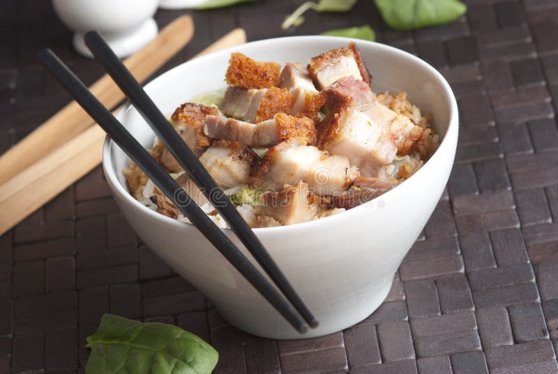 Pork with rice stock photo. Image of meat, international - 17388102