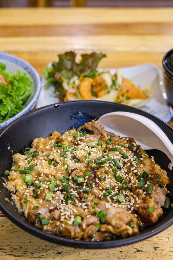 Pork on Rice, Japanese Set Meal Concept Stock Image - Image of fish, salad: 379825367