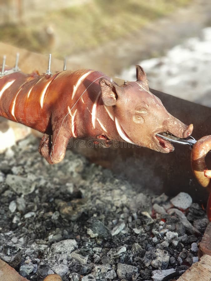 Pork roast stock image. Image of cooked, piglet, roast - 137024797