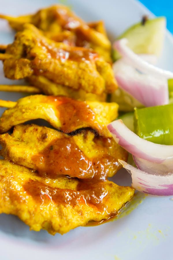 Pork satay dish stock photo. Image of chili, green, pork - 76249984