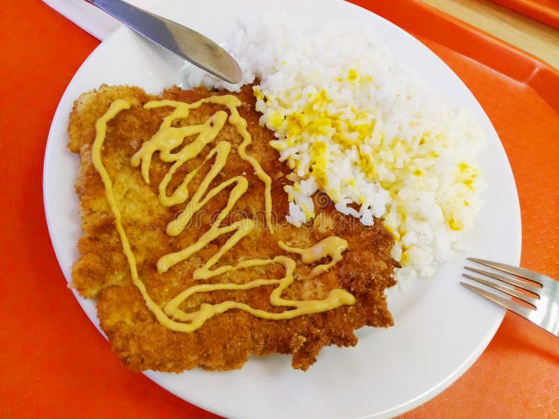 Schnitzel and rice closeup stock photo. Image of dish - 109533164
