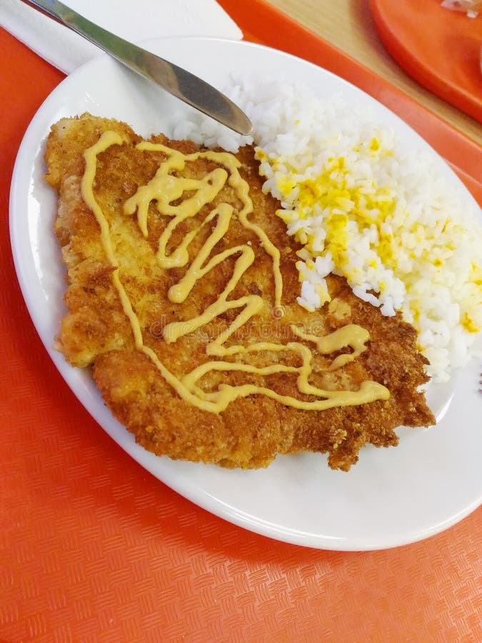 Pork schnitzel with rice stock image. Image of schnitzel - 108929199