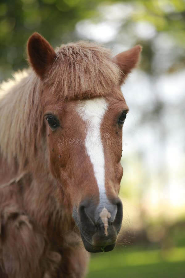 Porny Stock Photos - Free & Royalty-Free Stock Photos from Dreamstime